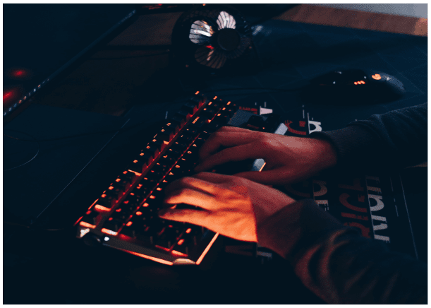 About Red Rabbit Security - Red Rabbit Security